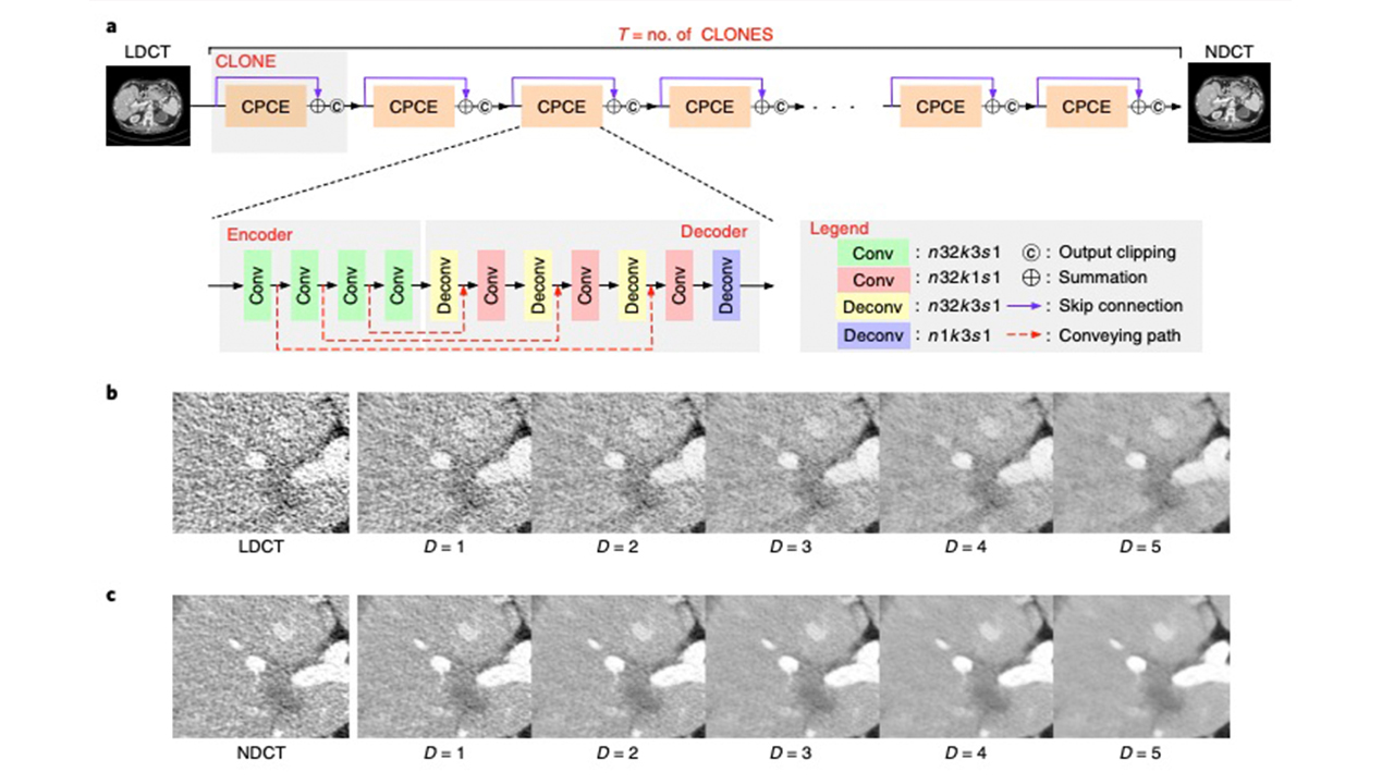 WANG-AXIS Lab - Home